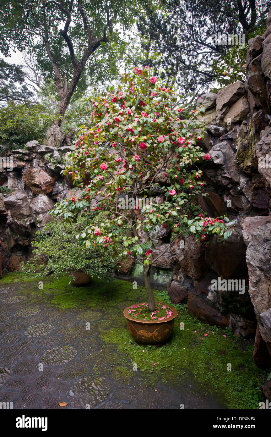 Shanghai flower garden hi-res stock photography and images - Alamy