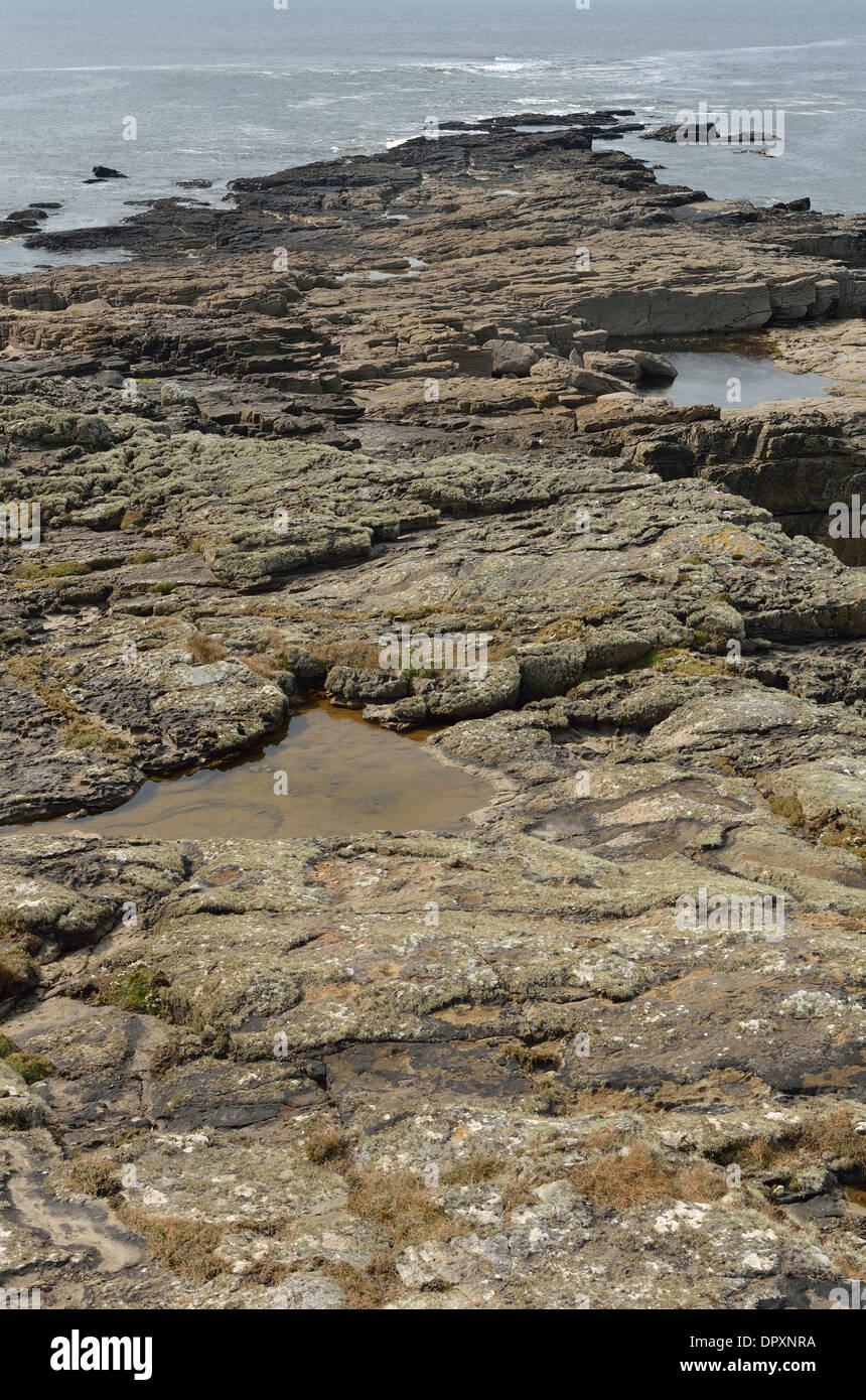 seaside walk Creevy County Donegal Ireland Stock Photo - Alamy