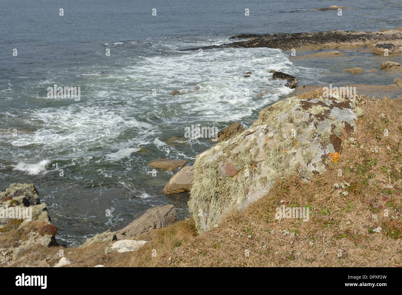 Creevy High Resolution Stock Photography and Images - Alamy