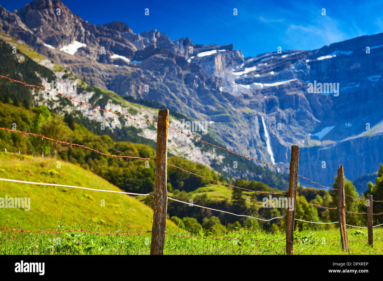 Animals of the pyrenees hi-res stock photography and images - Alamy