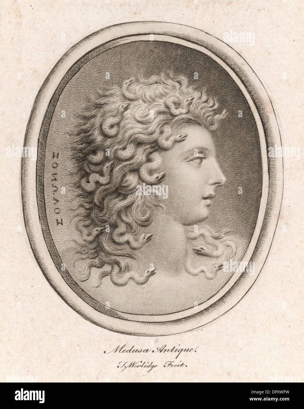 Medusa medusa hi-res stock photography and images - Alamy