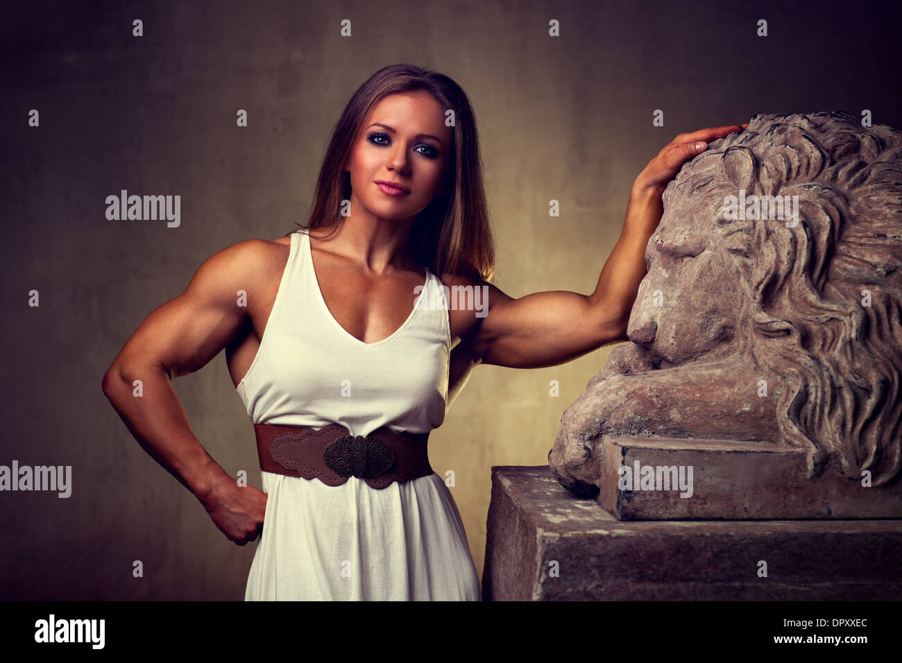 Strong young healthy lion hi-res stock photography and images - Alamy