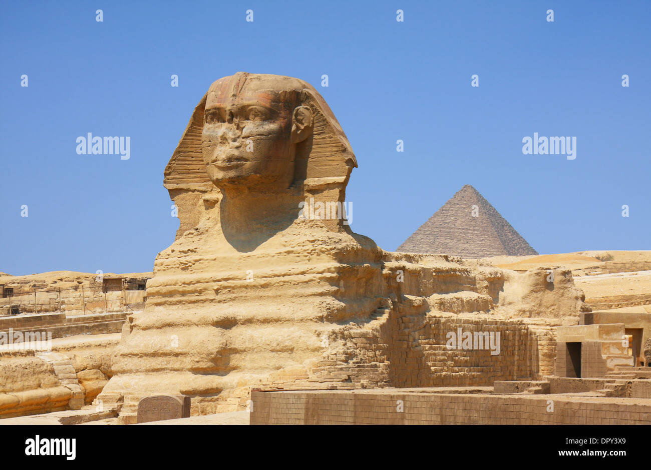 The Sphinx at Giza in Egypt Stock Photo - Alamy