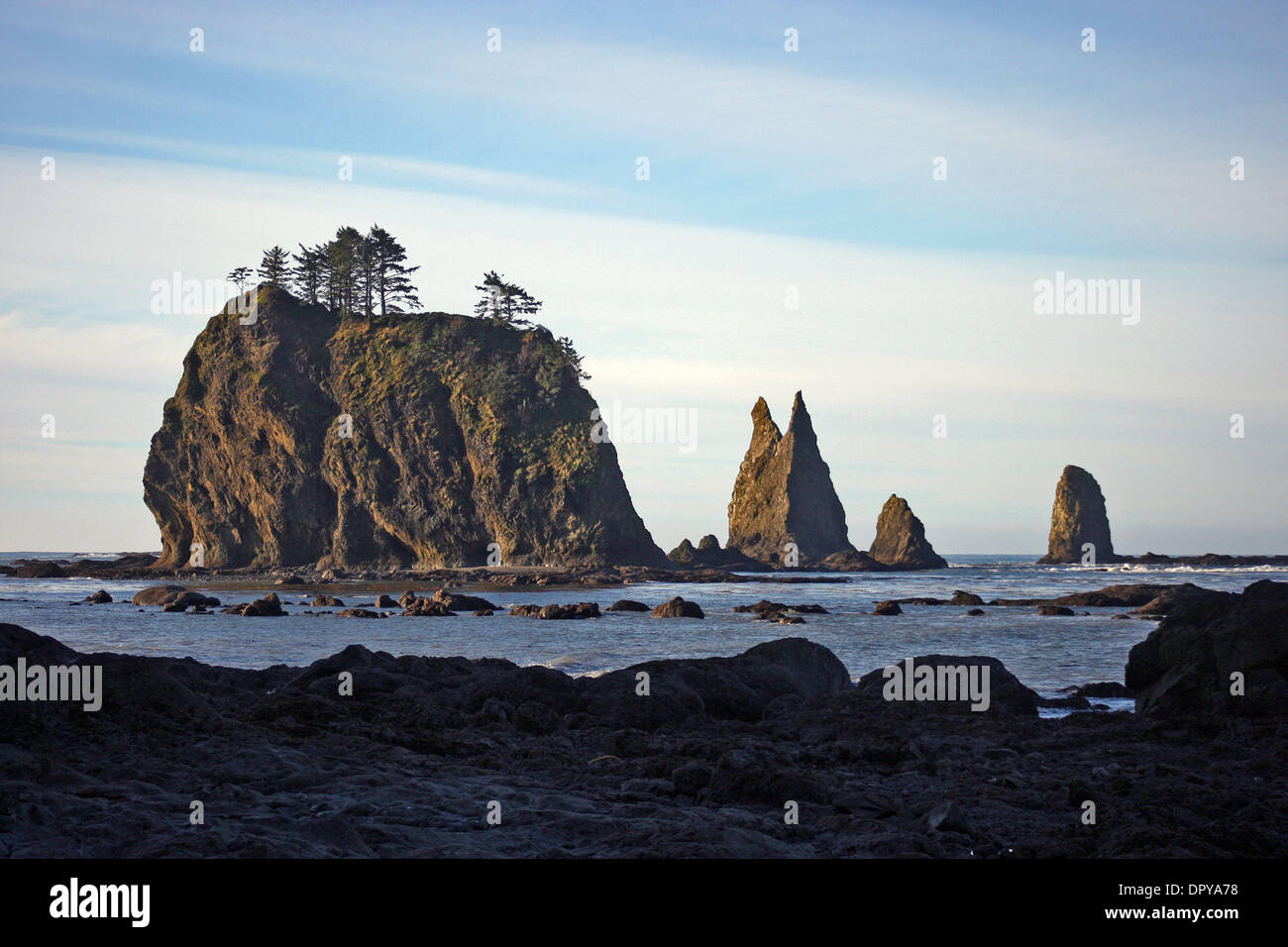 Jan 16, 2009 - La Push, Washington, U.S. - The Graveyard of Giants, a ...