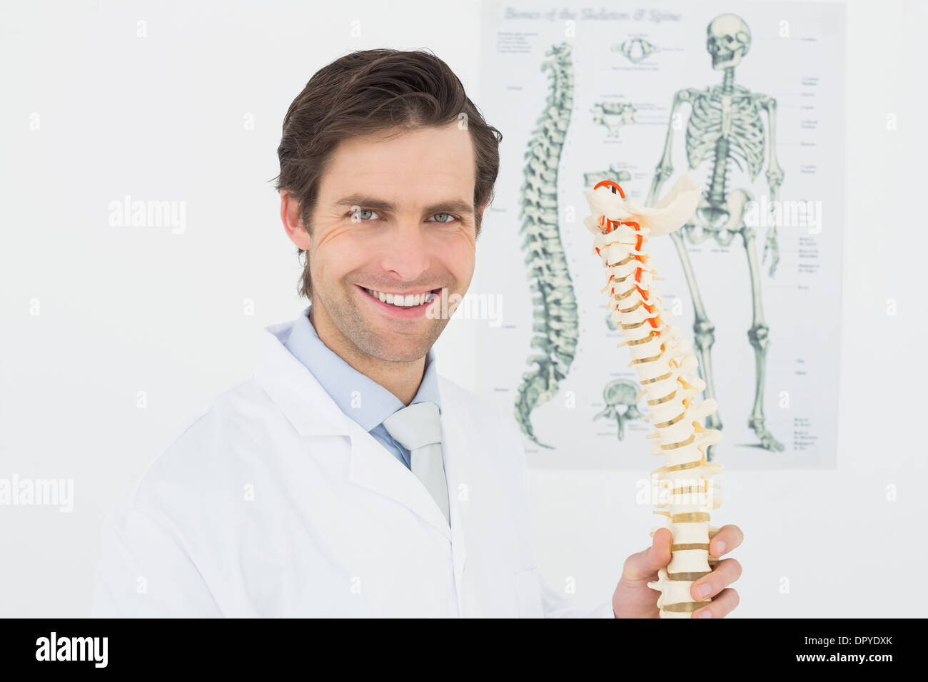 Skeleton holding up hi-res stock photography and images - Alamy