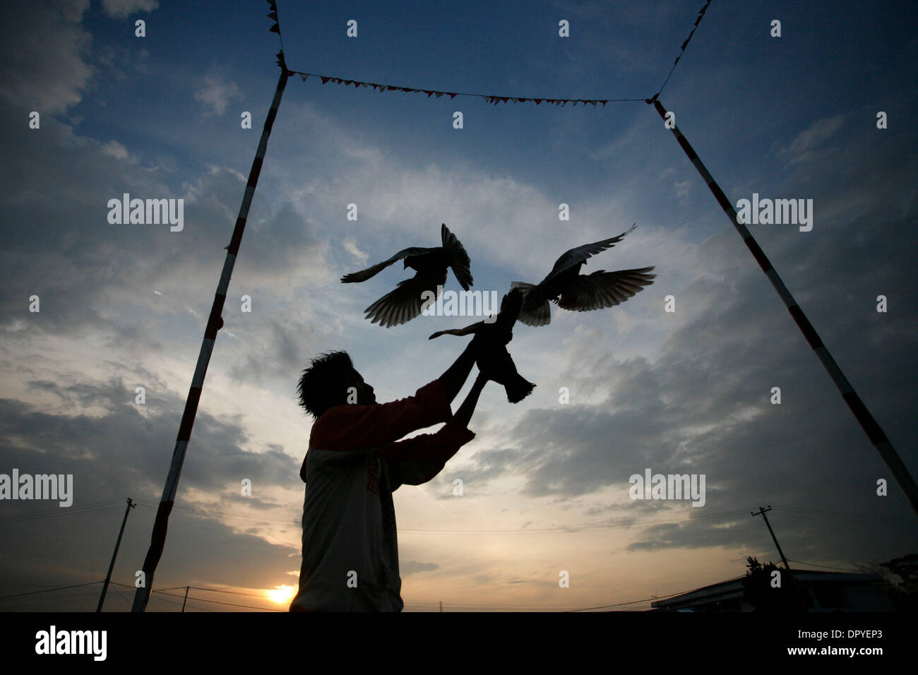 March 1, 2009 - Medan, North Sumatra, Indonesia - An owner and trainer ...