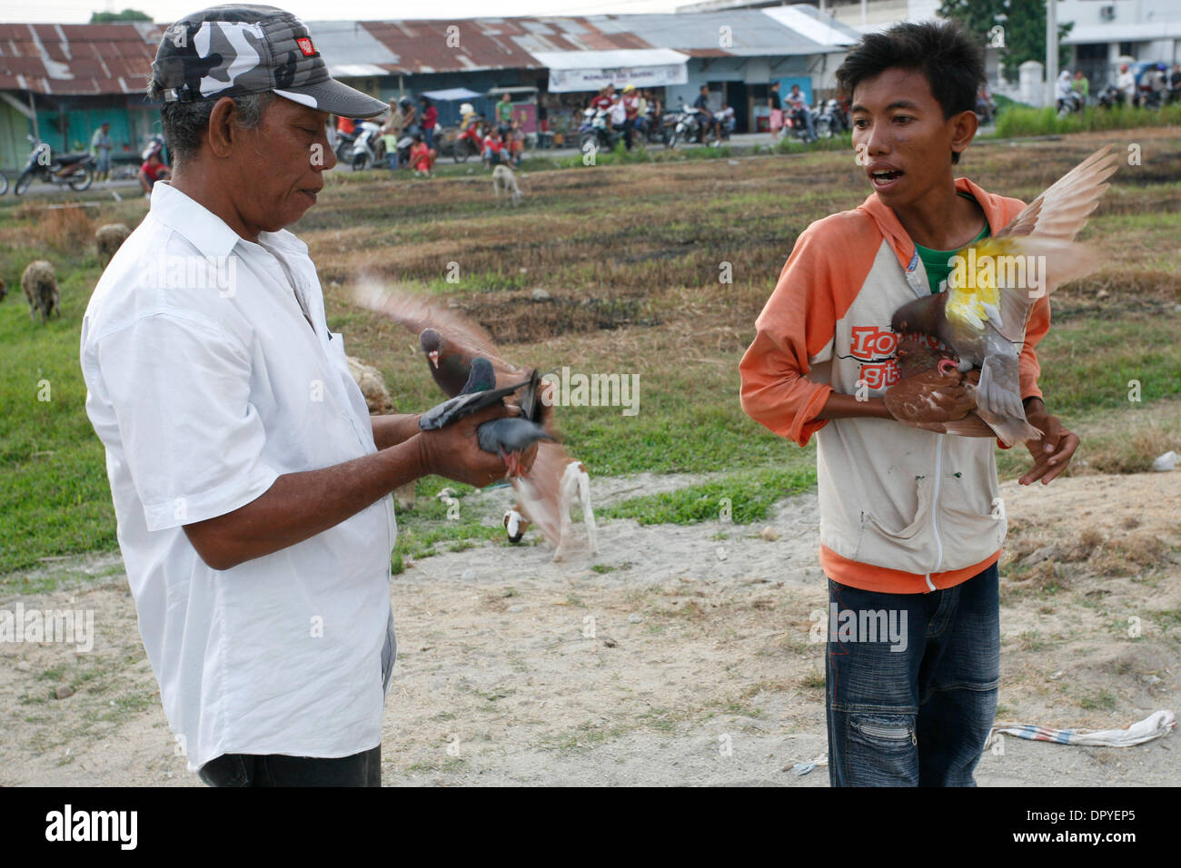 March 1, 2009 - Medan, North Sumatra, Indonesia - An owner and trainer ...