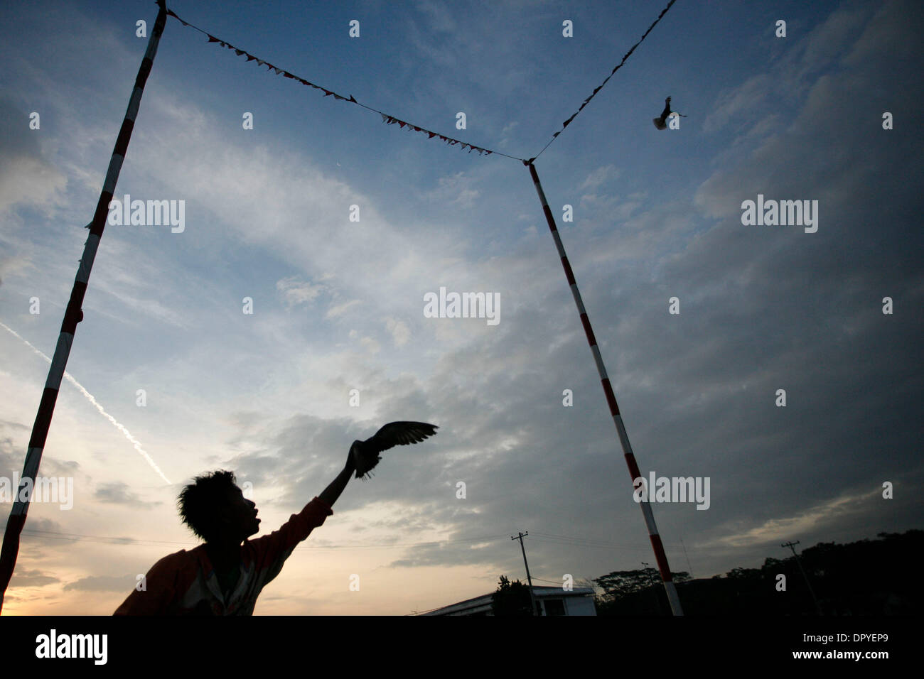 March 1, 2009 - Medan, North Sumatra, Indonesia - An owner and trainer ...