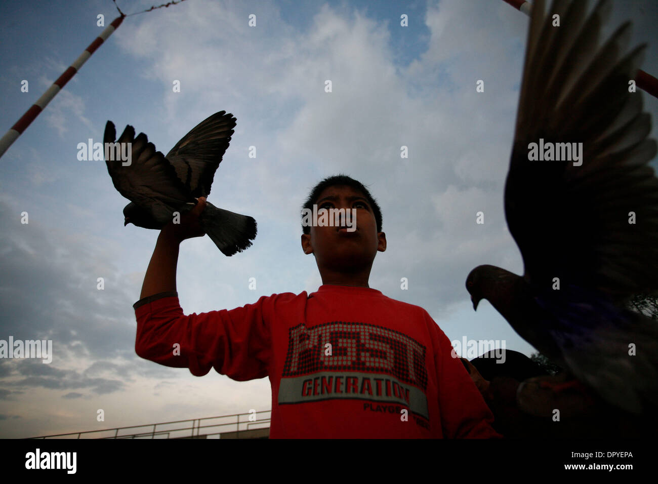 March 1, 2009 - Medan, North Sumatra, Indonesia - An owner and trainer ...