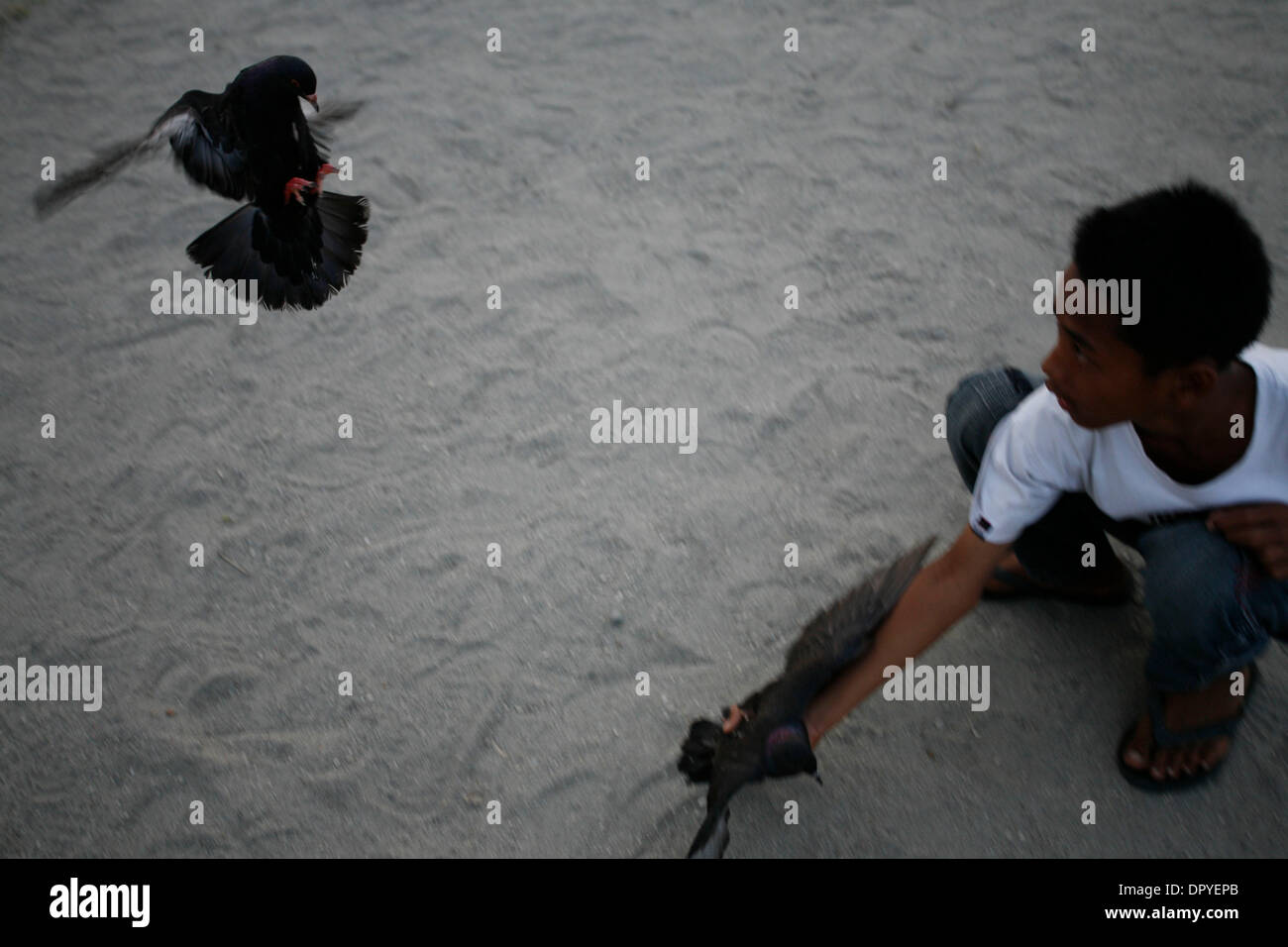 March 1, 2009 - Medan, North Sumatra, Indonesia - An owner and trainer ...