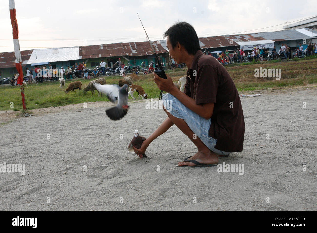 March 1, 2009 - Medan, North Sumatra, Indonesia - An owner and trainer ...