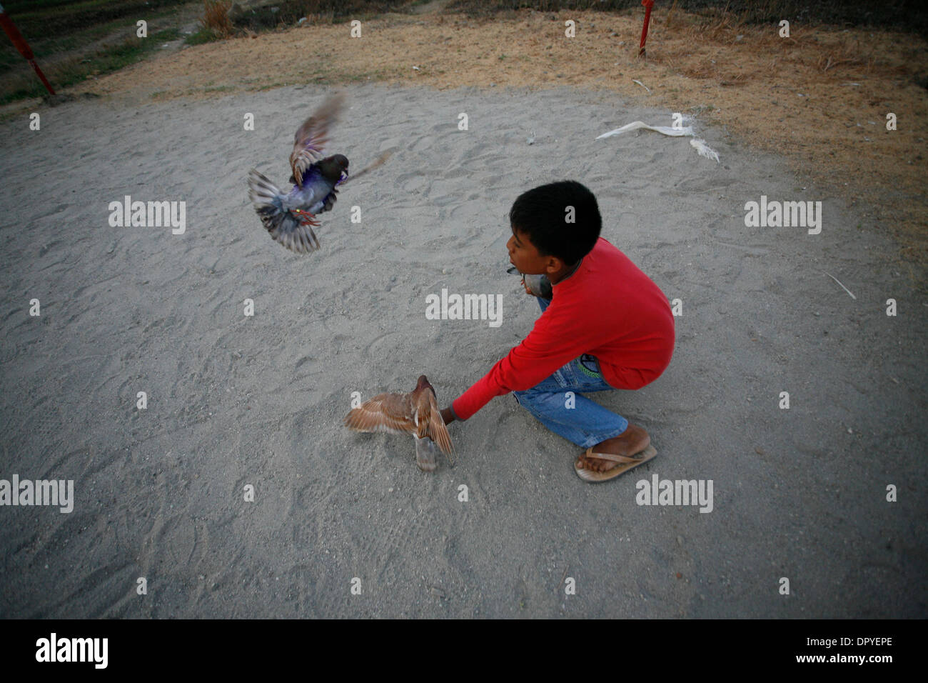 March 1, 2009 - Medan, North Sumatra, Indonesia - An owner and trainer ...