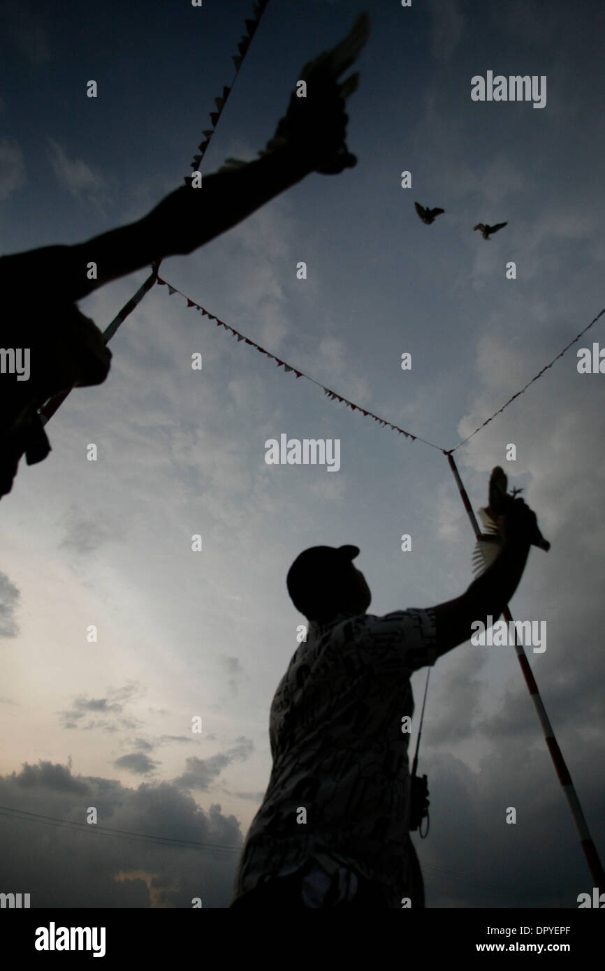 March 1, 2009 - Medan, North Sumatra, Indonesia - An owner and trainer ...