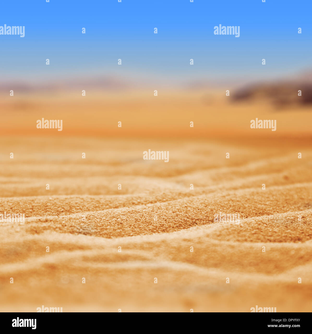 Desert wildernes hi-res stock photography and images - Alamy