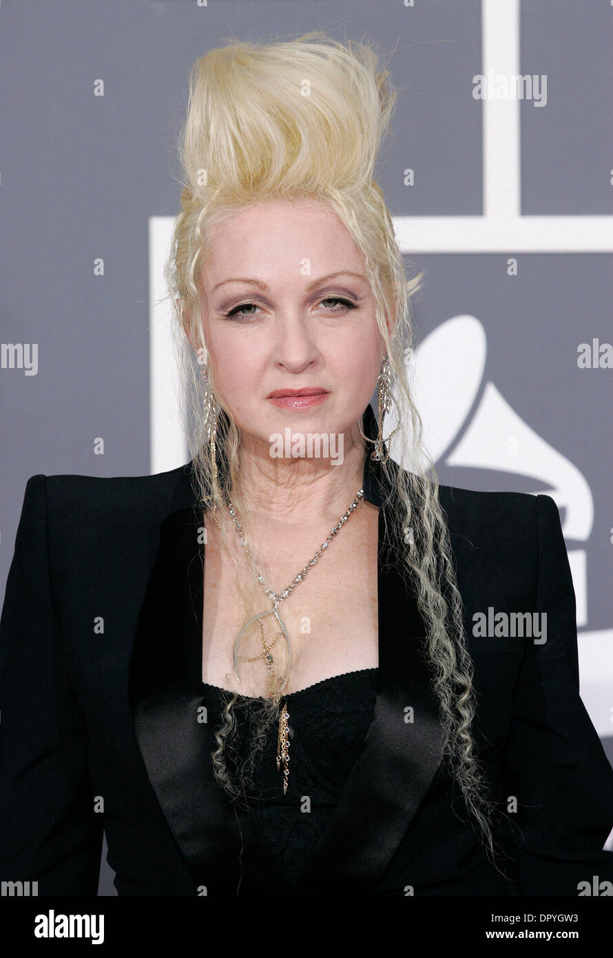 Feb 8, 2009 - Los Angeles, California, USA - Singer CYNDI LAUPER ...