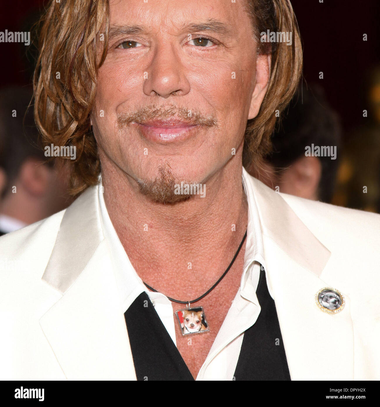 Mickey rourke dog hi-res stock photography and images - Alamy