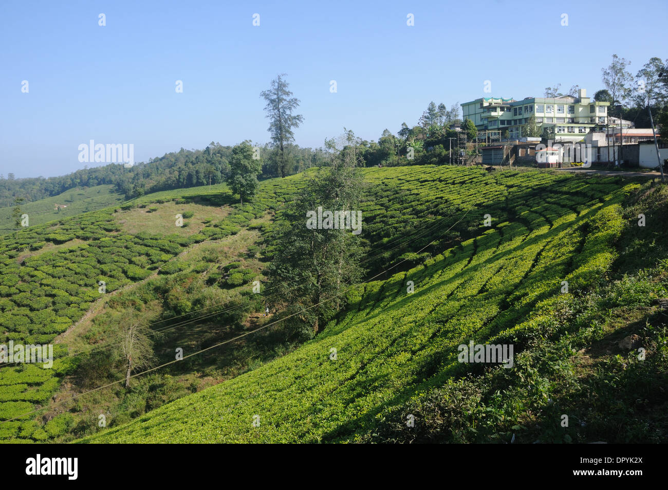 Hill station at Vagamon, Kerala, India Stock Photo - Alamy