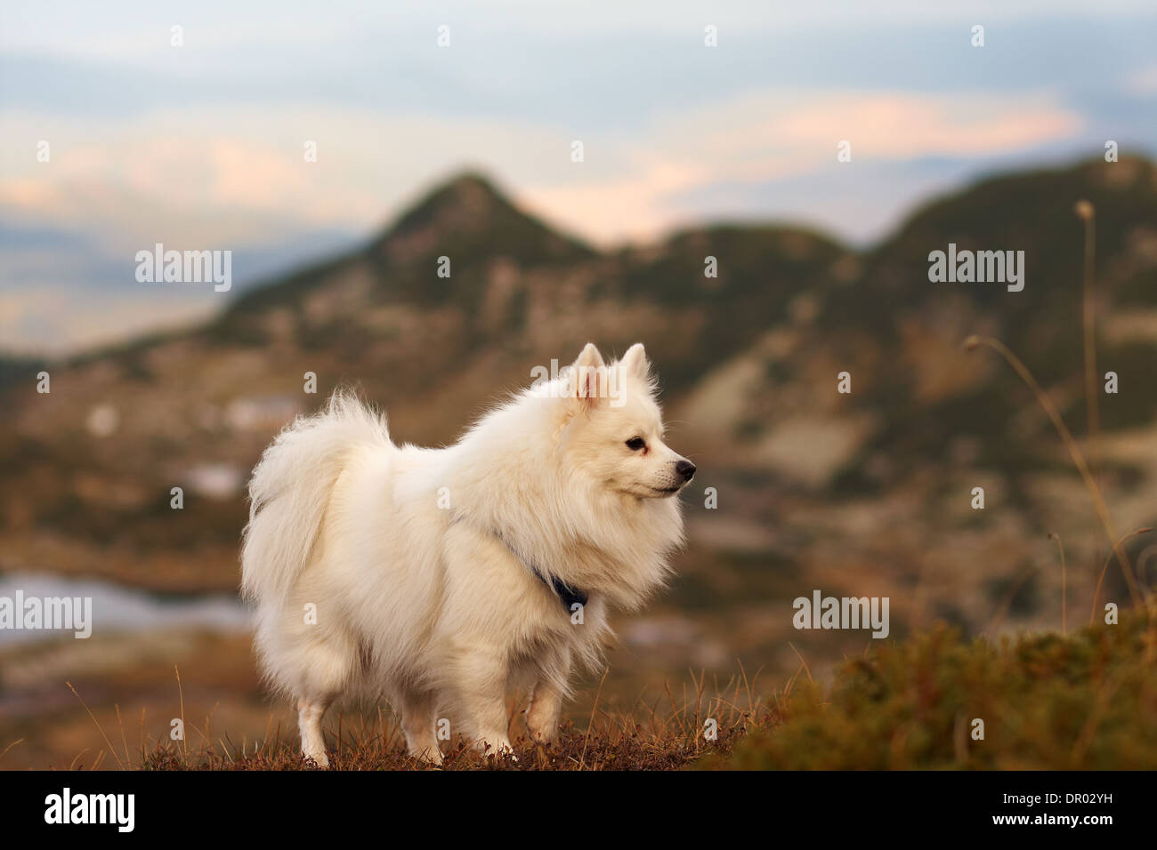 Spitz mountain hi-res stock photography and images - Alamy