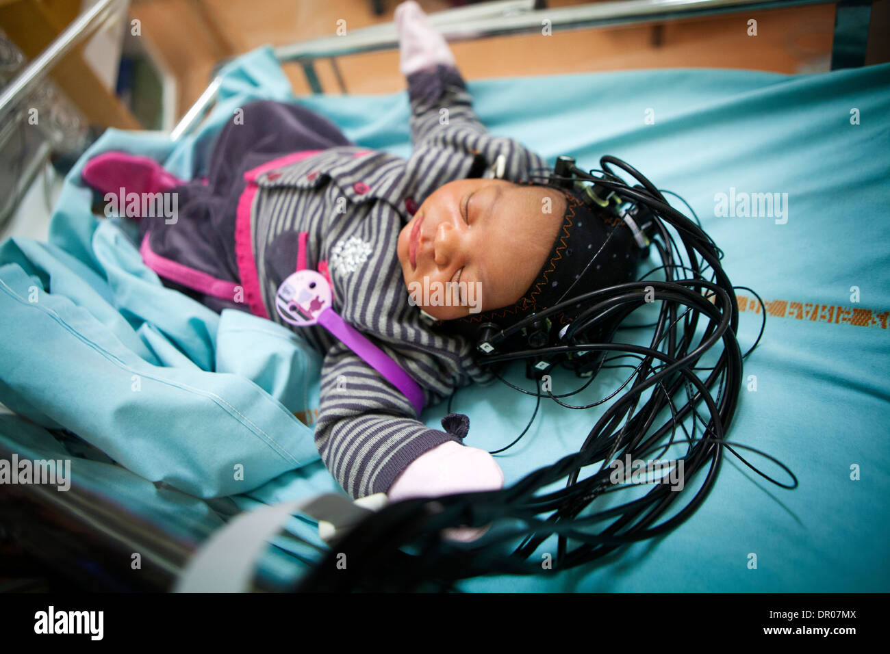 Hatchling infrared hi-res stock photography and images - Alamy