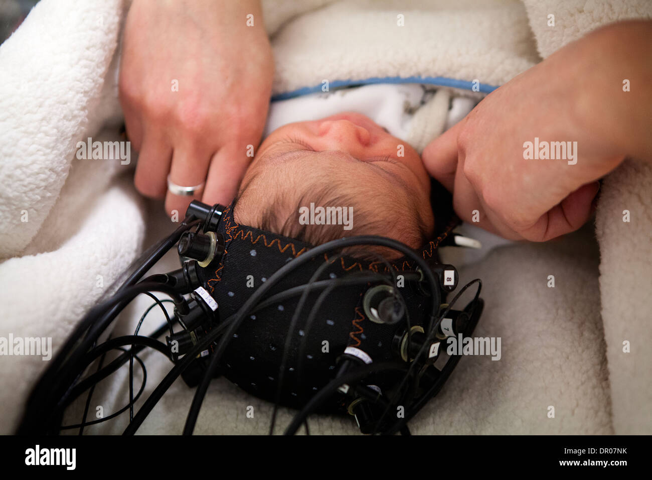 Baby brain lab hi-res stock photography and images - Alamy