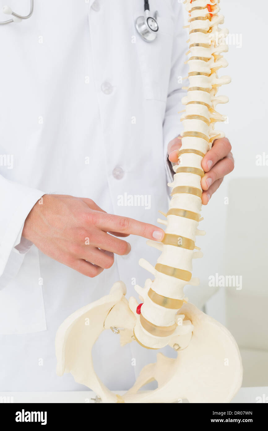 Extreme close-up of a finger pointing at skeleton model Stock Photo - Alamy