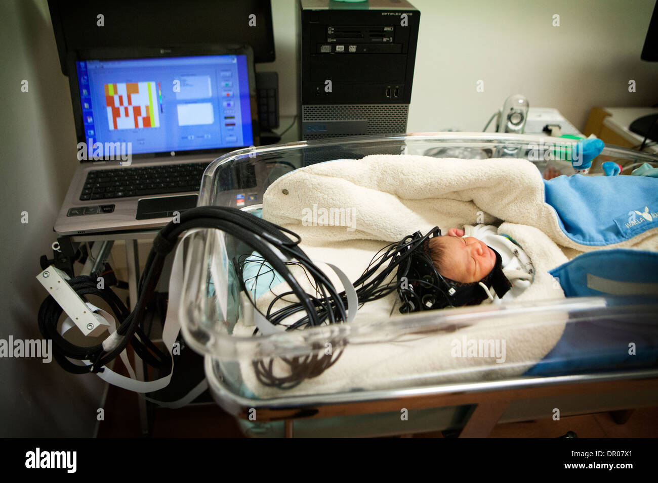 Hatchling infrared hi-res stock photography and images - Alamy