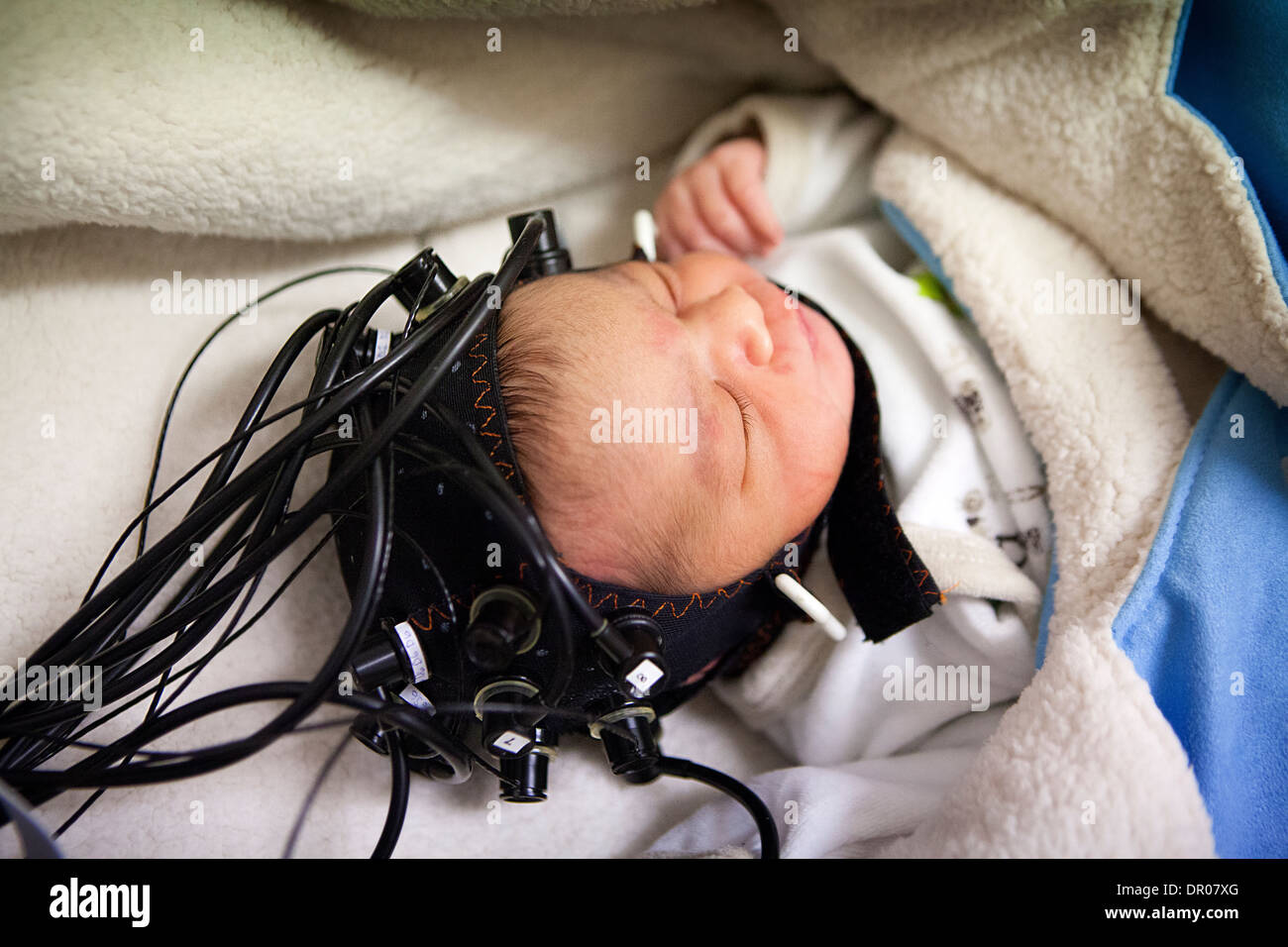 Baby Brain Research Lab High Resolution Stock Photography and Images ...