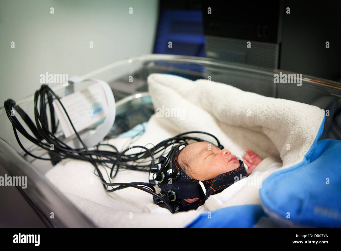 Baby brain research lab hi-res stock photography and images - Alamy