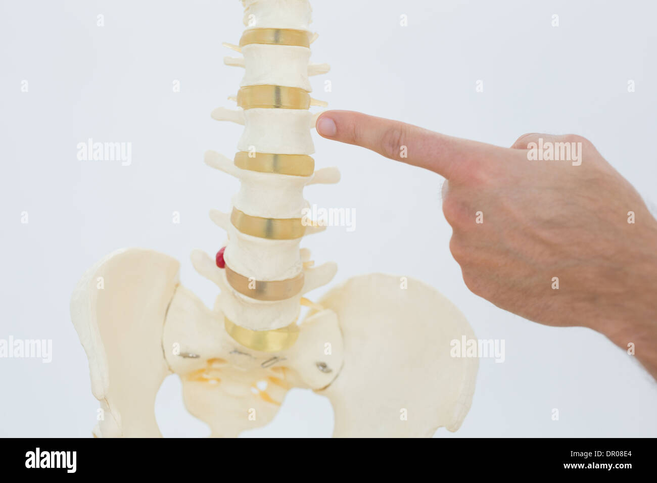 Skeleton Hand Pointing High Resolution Stock Photography and Images - Alamy