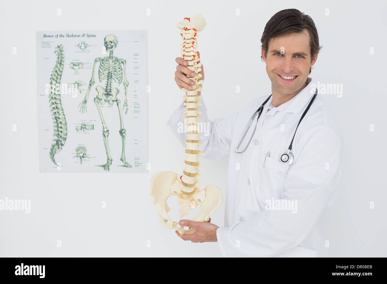 Smiling male doctor holding skeleton model Stock Photo - Alamy