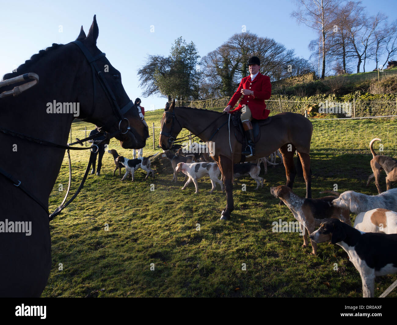 Barlow hunt hi-res stock photography and images - Alamy