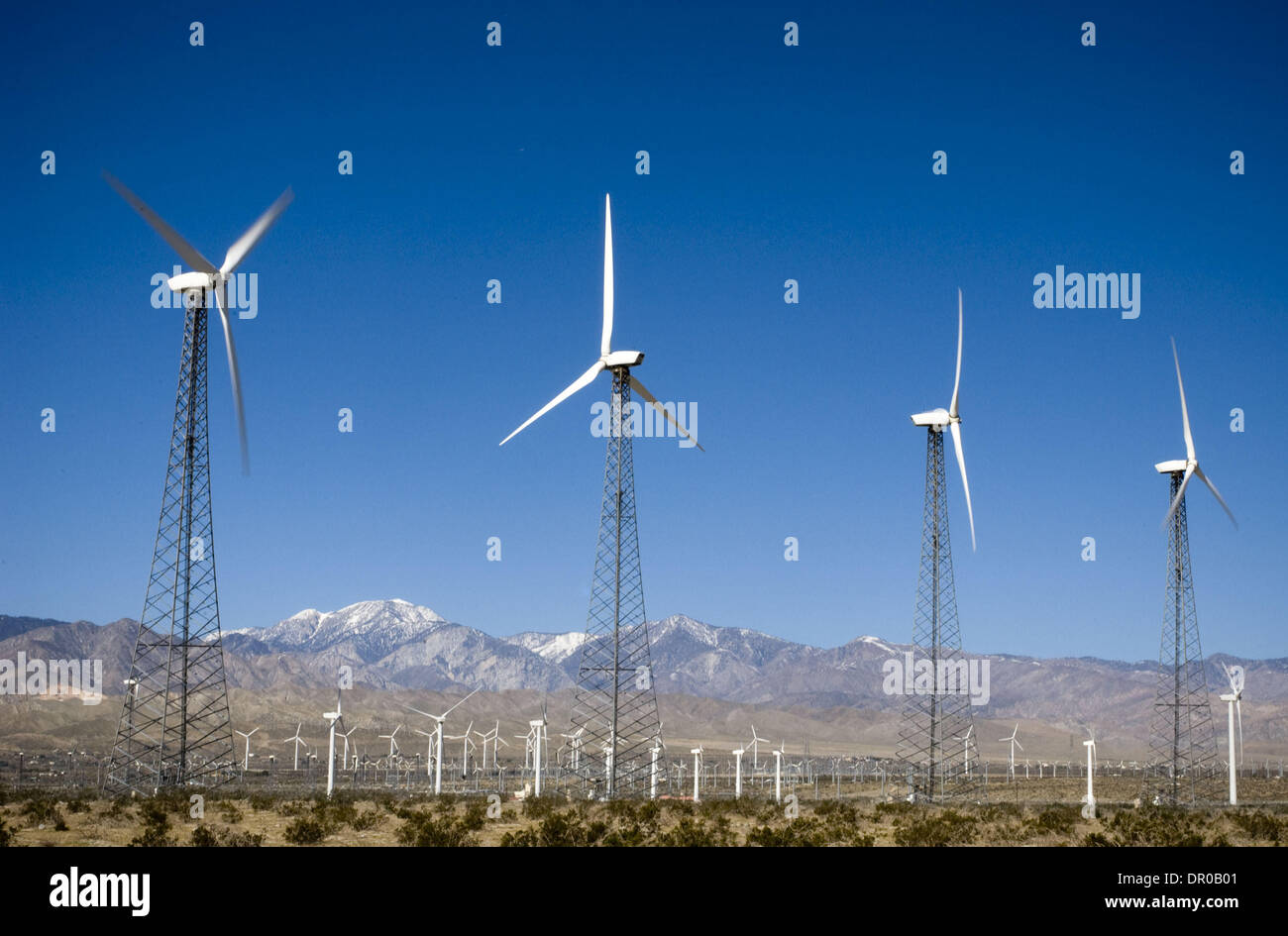 Jan 09, 2009 - Los Angeles, California, USA - Windmills in Palms ...