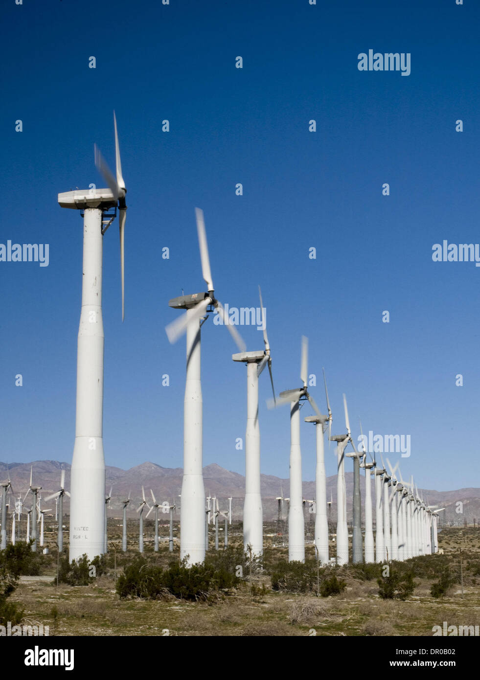 Jan 09, 2009 - Los Angeles, California, USA - Windmills in Palms ...
