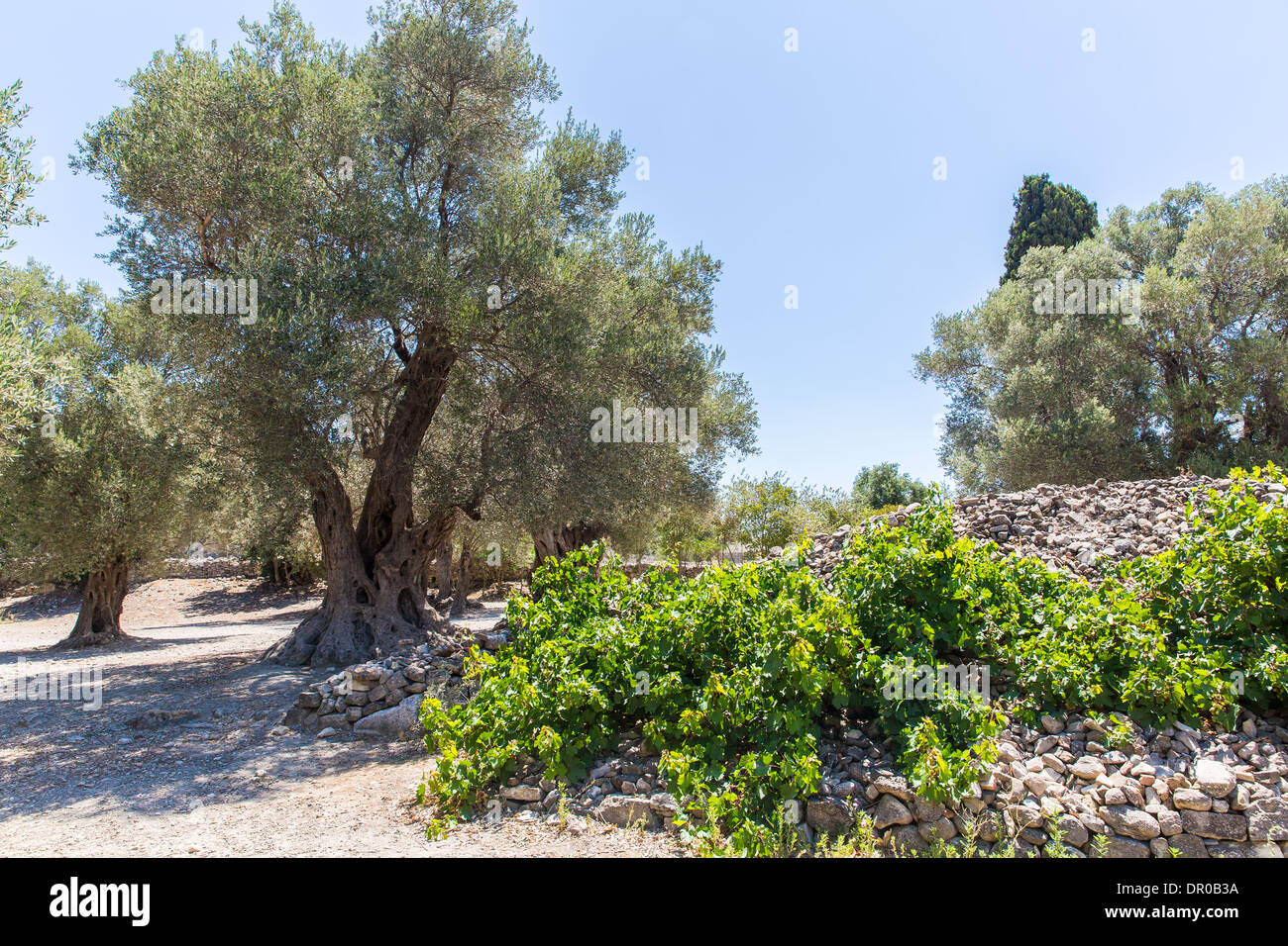 Monastery (friary) in Messara Valley at Crete island in Greece. Messara ...