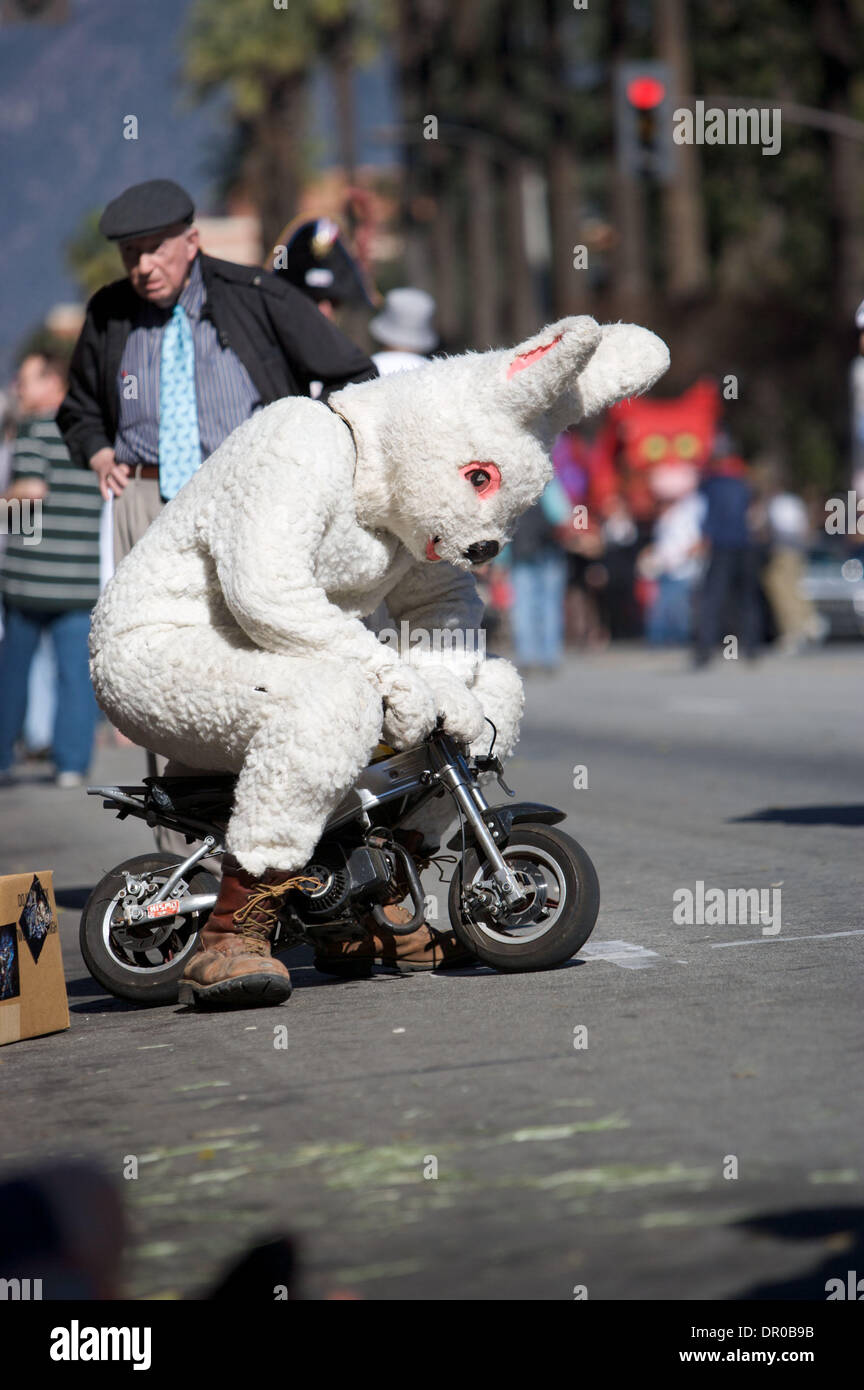 Riding a rabbit hi-res stock photography and images - Alamy