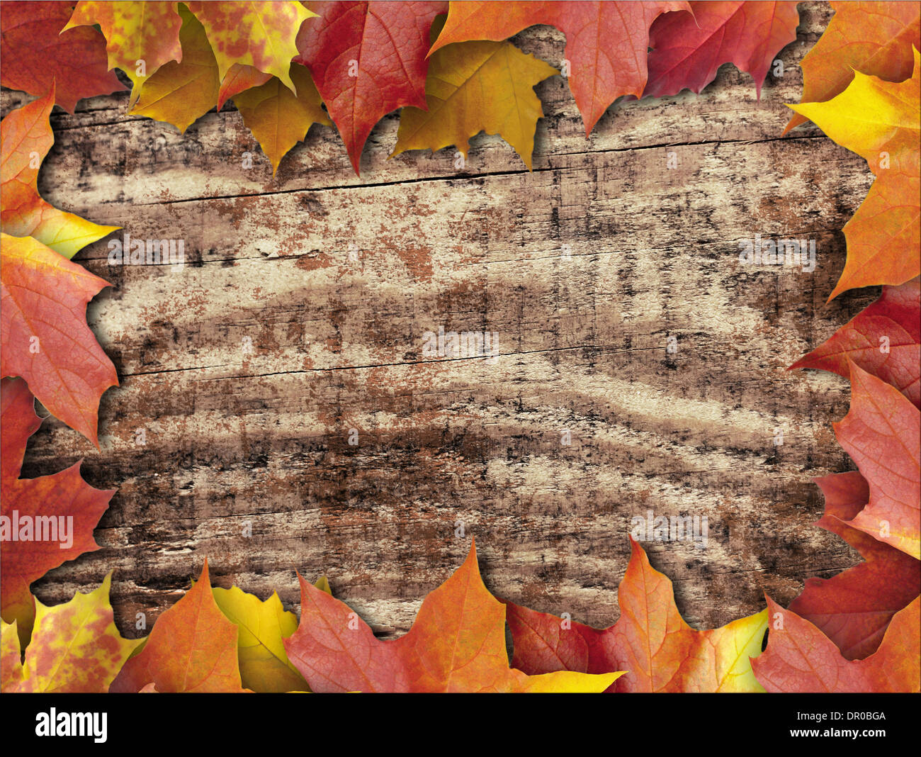 Leaves frame foliage framework fall hi-res stock photography and images ...