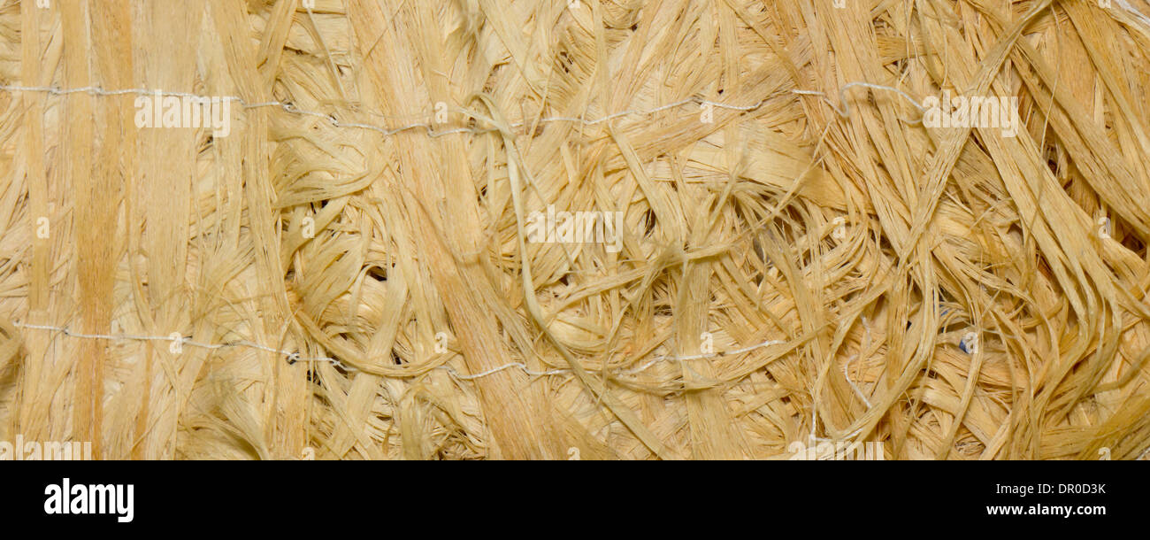 Wisp of bast Stock Photo - Alamy