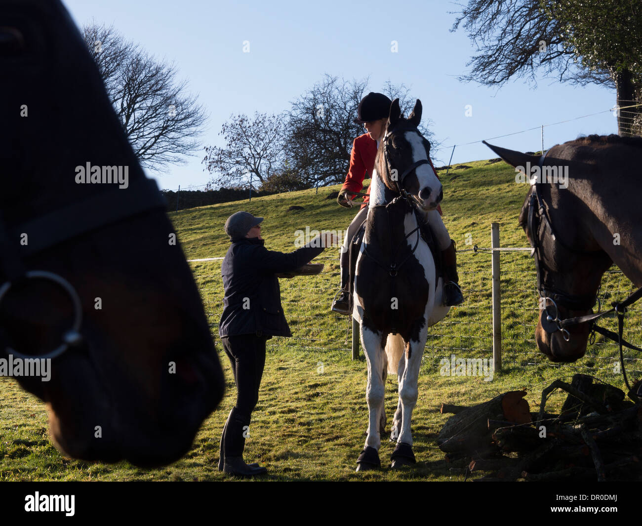 Barlow hunt hi-res stock photography and images - Alamy