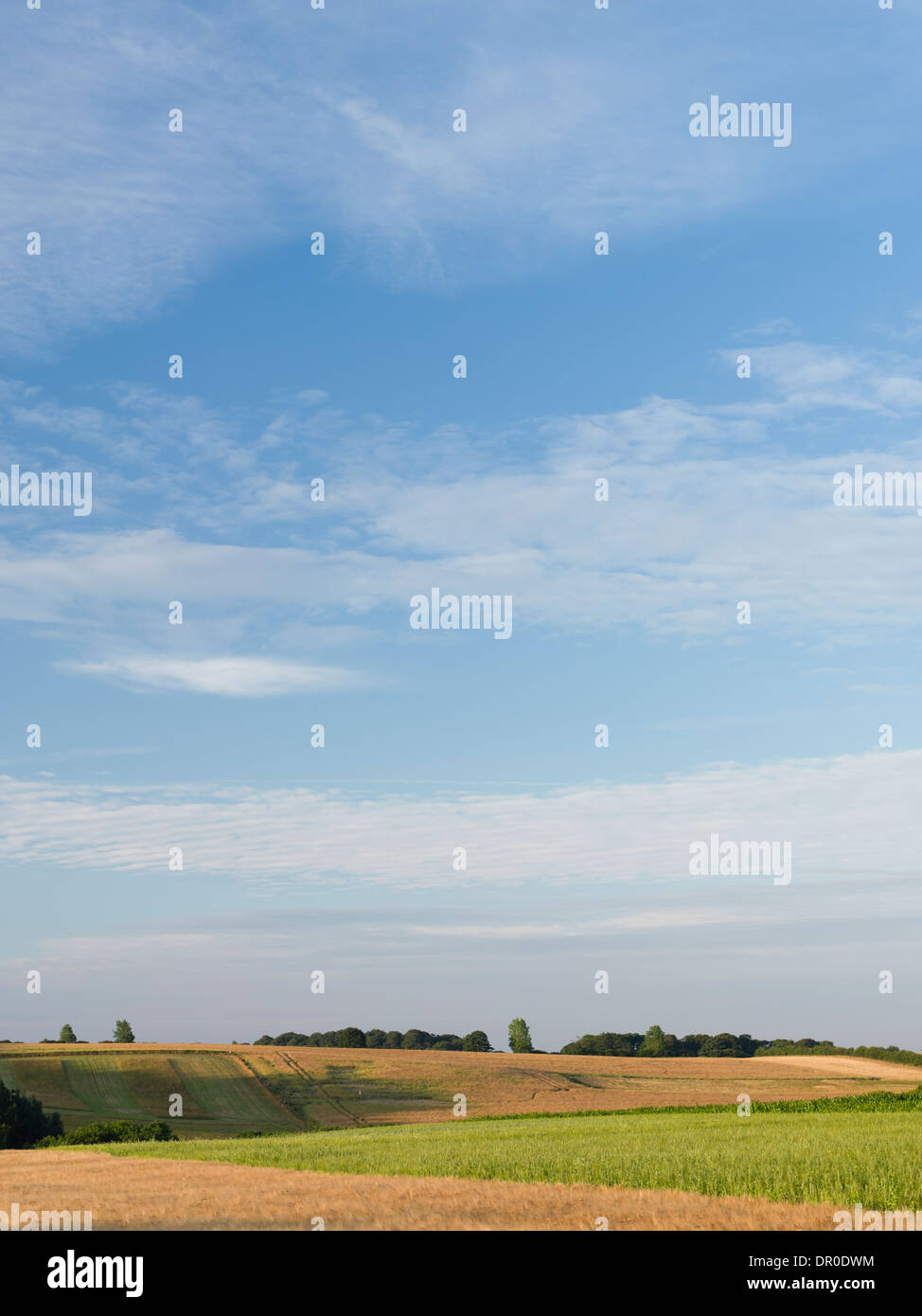 Norfolk summer morning hi-res stock photography and images - Alamy