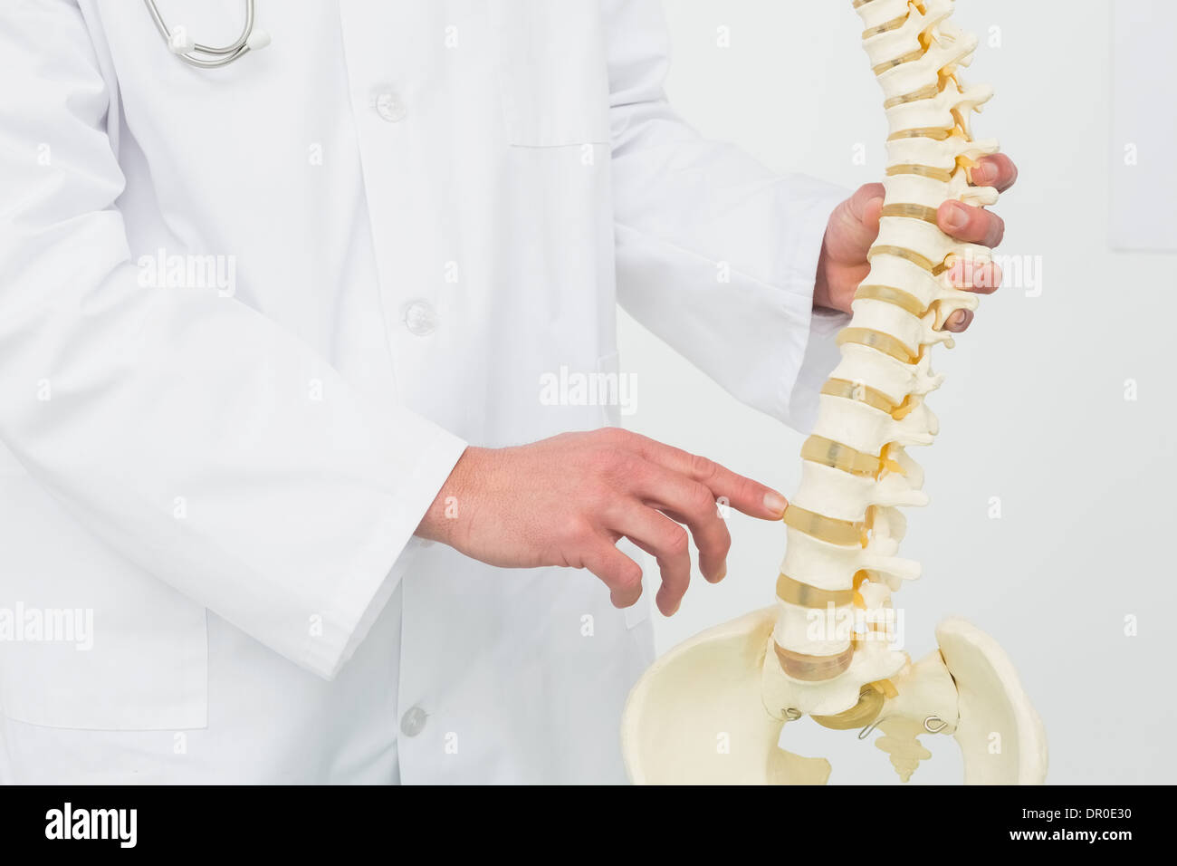 Mid section of a male doctor with skeleton model Stock Photo - Alamy