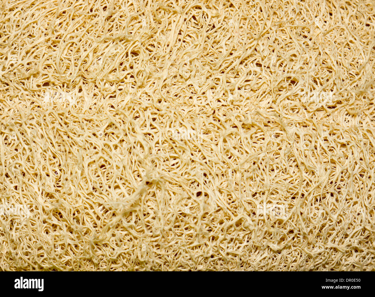 Wisp of bast Stock Photo - Alamy