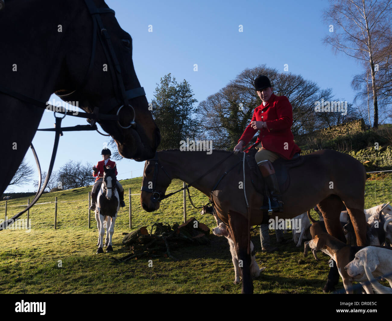 Barlow hunt hi-res stock photography and images - Alamy