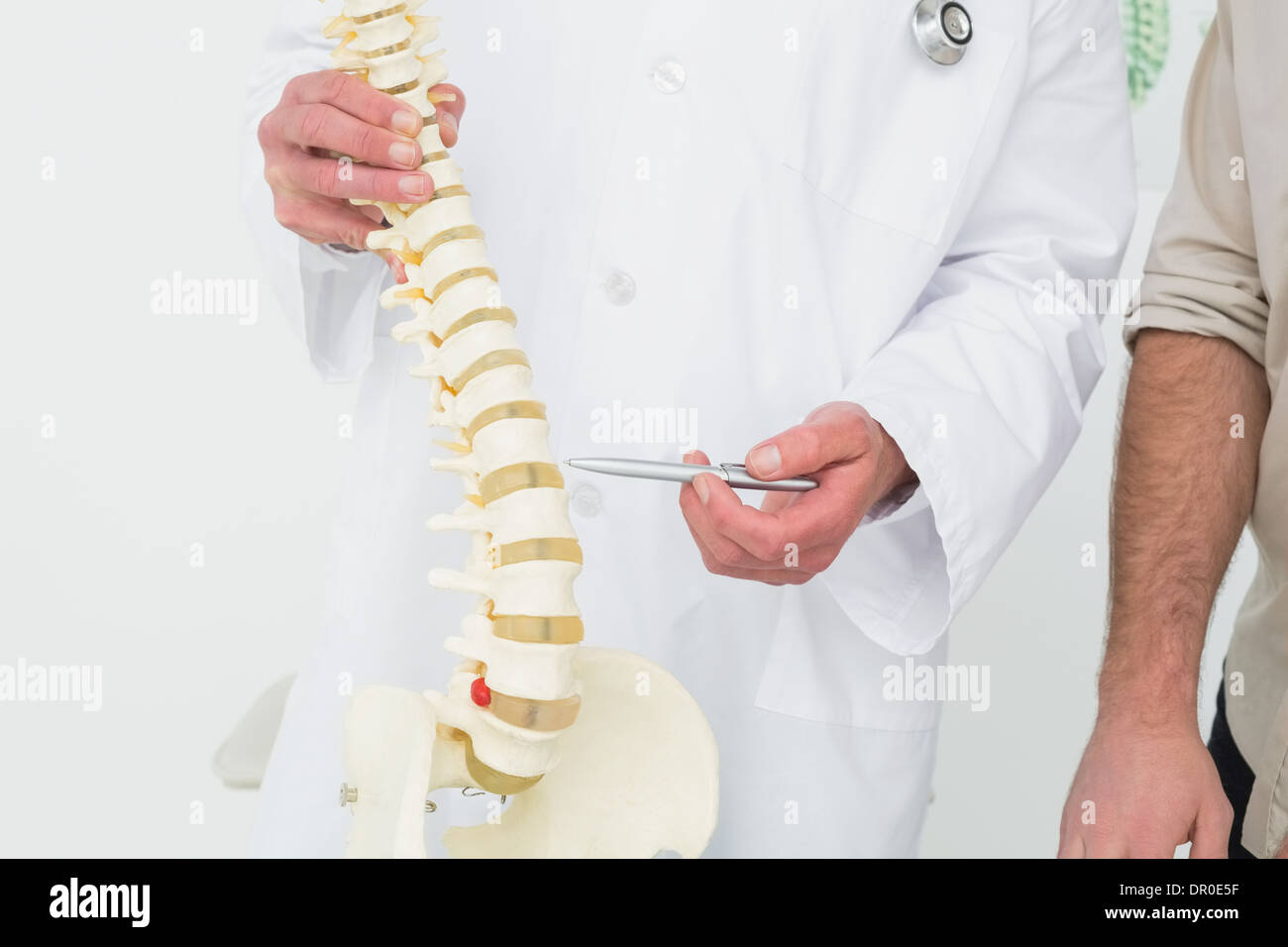 Mid section of a doctor explaining the spine to a patient Stock Photo ...