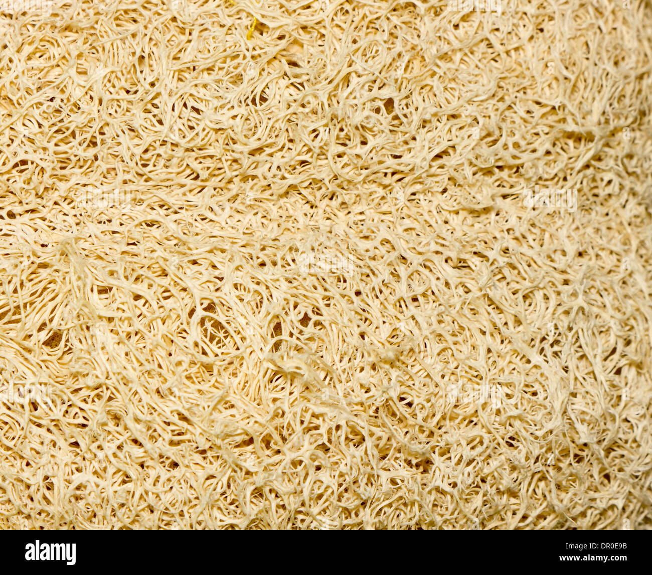 Wisp of bast Stock Photo - Alamy