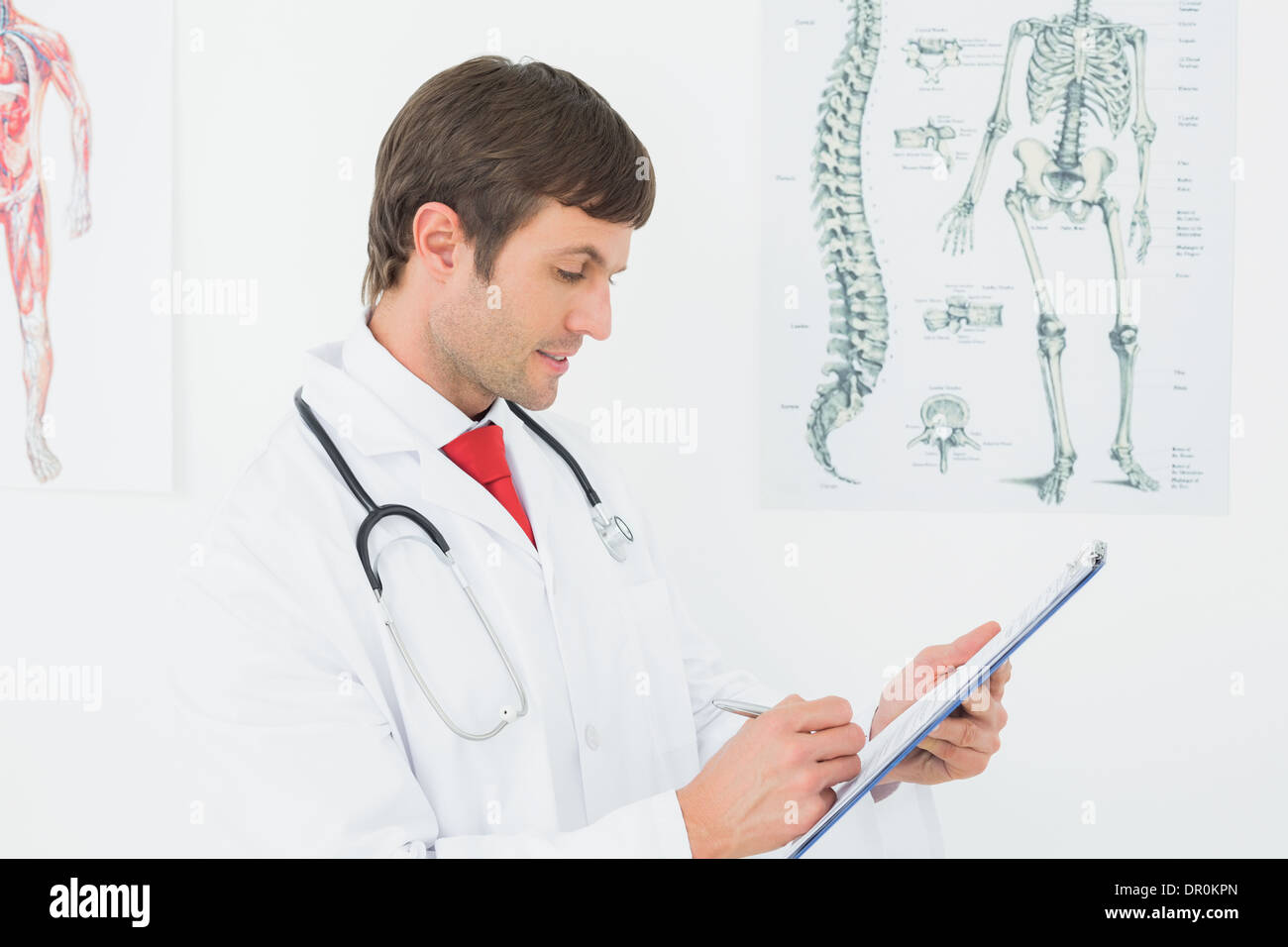 Concentrated male doctor writing reports Stock Photo - Alamy