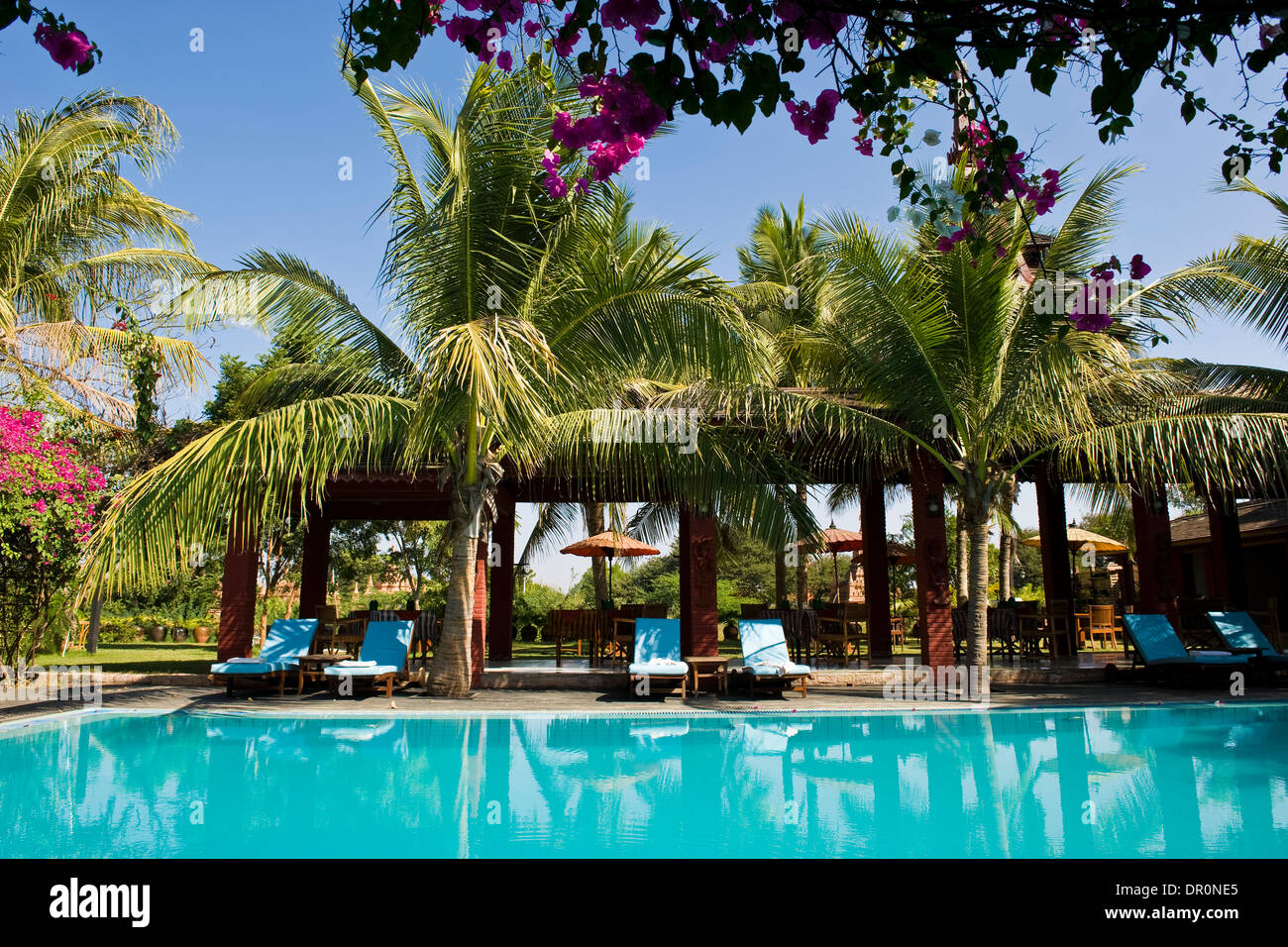 Thazin hi-res stock photography and images - Alamy