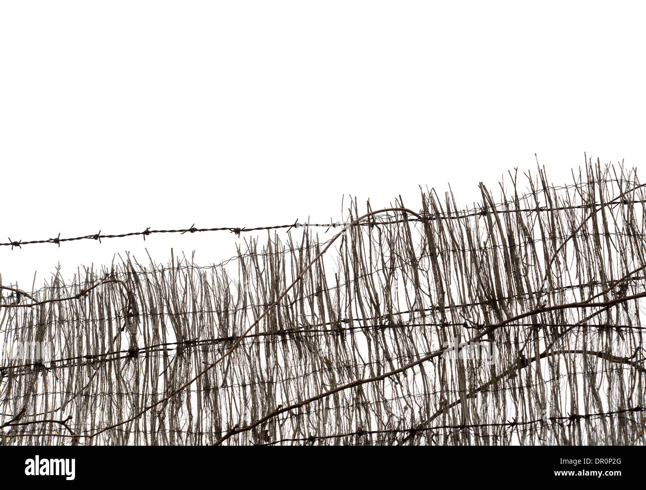 Barbed wire and fence over white background Stock Photo - Alamy