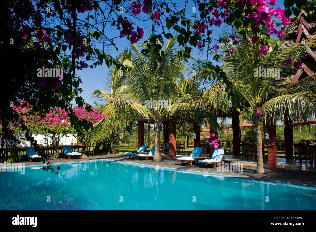 Thazin hi-res stock photography and images - Alamy