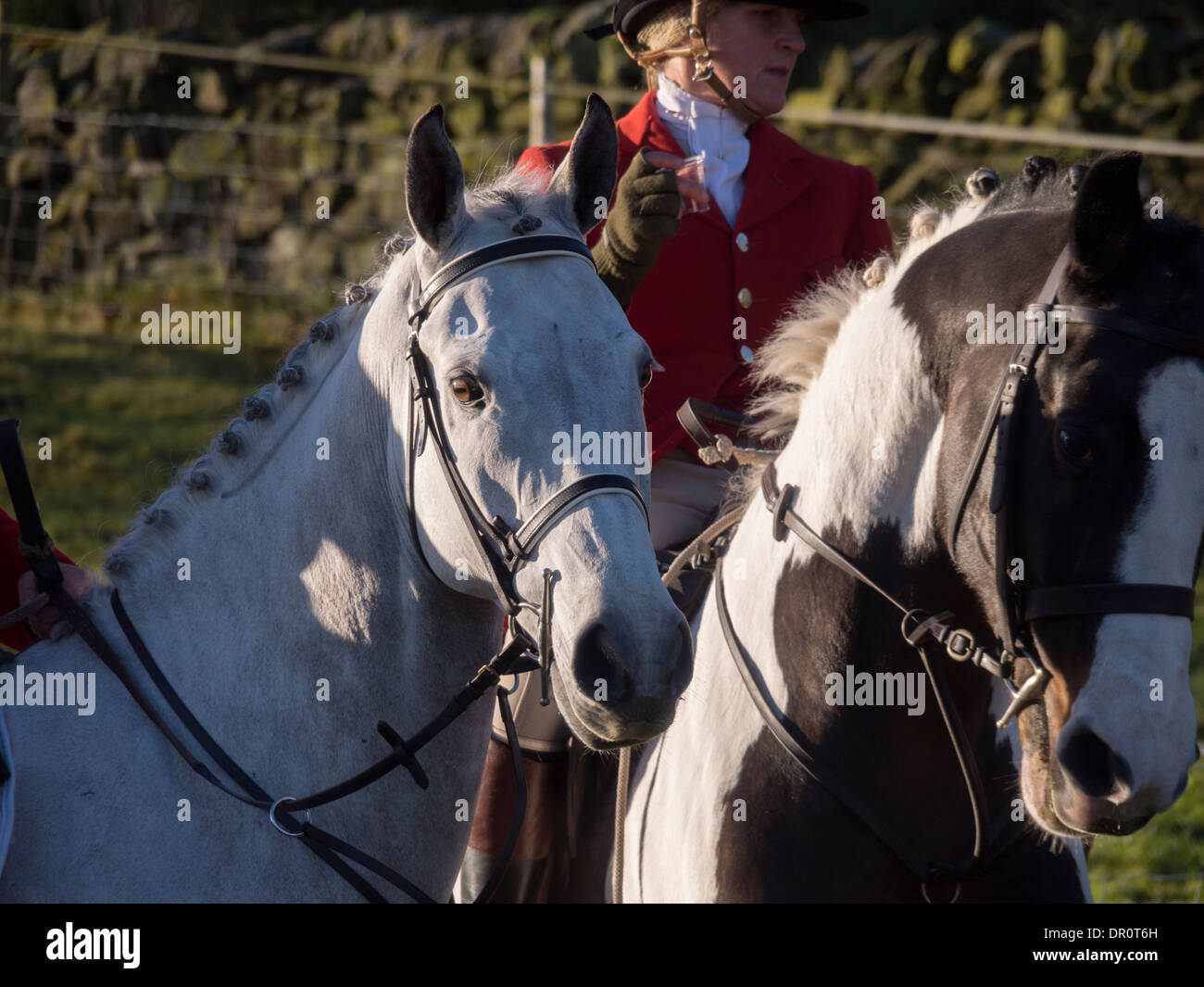 Barlow Hunt High Resolution Stock Photography and Images - Alamy