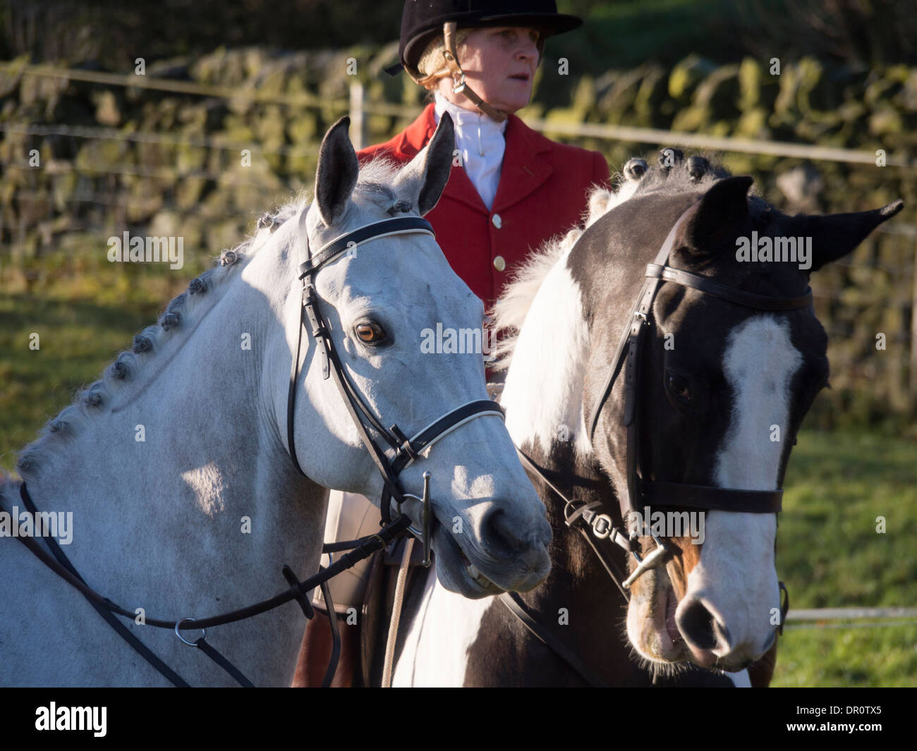 Barlow Hunt High Resolution Stock Photography and Images - Alamy